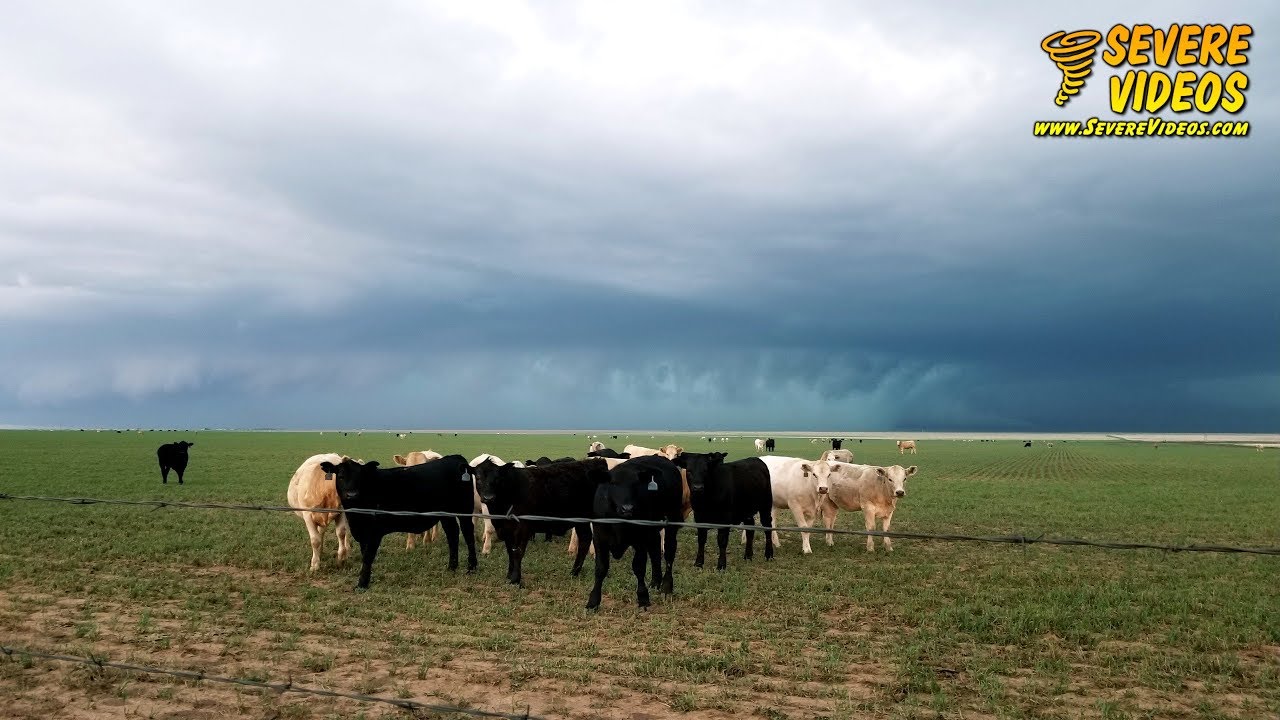 Rain Wrapped Tornado Headed Straight For Us – Severe Videos